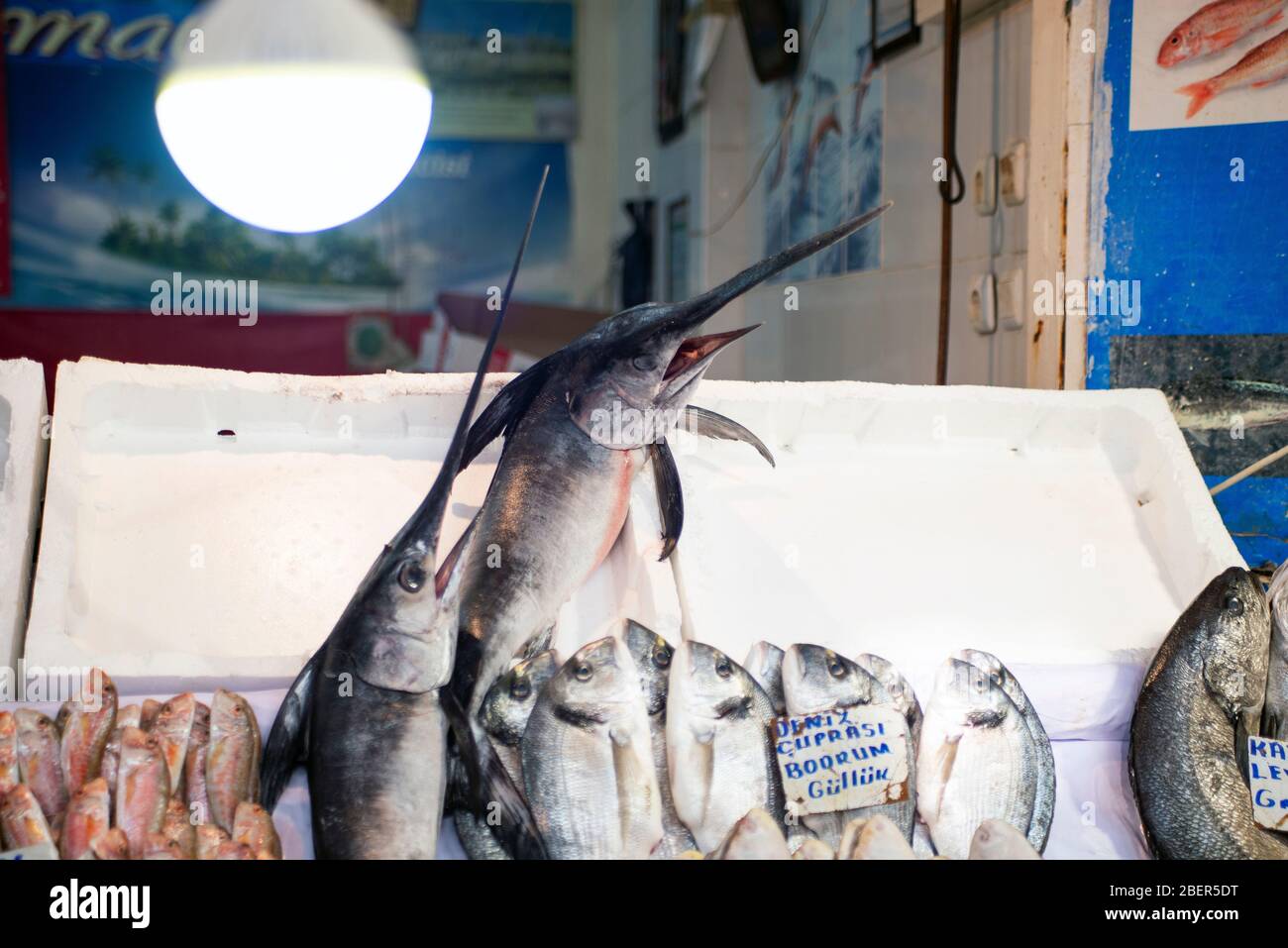 Swordfish on the counter in the fish bazaar Stock Photo - Alamy
