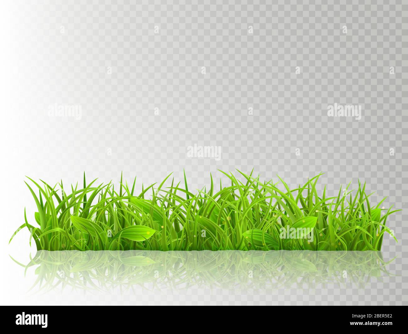 Beautiful realistic detailed fresh green grass, isolated on transparent ...