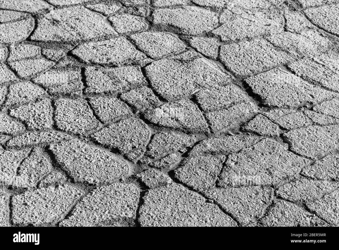 Texture of gray cracked asphalt. Abstract backdrop for design Stock ...