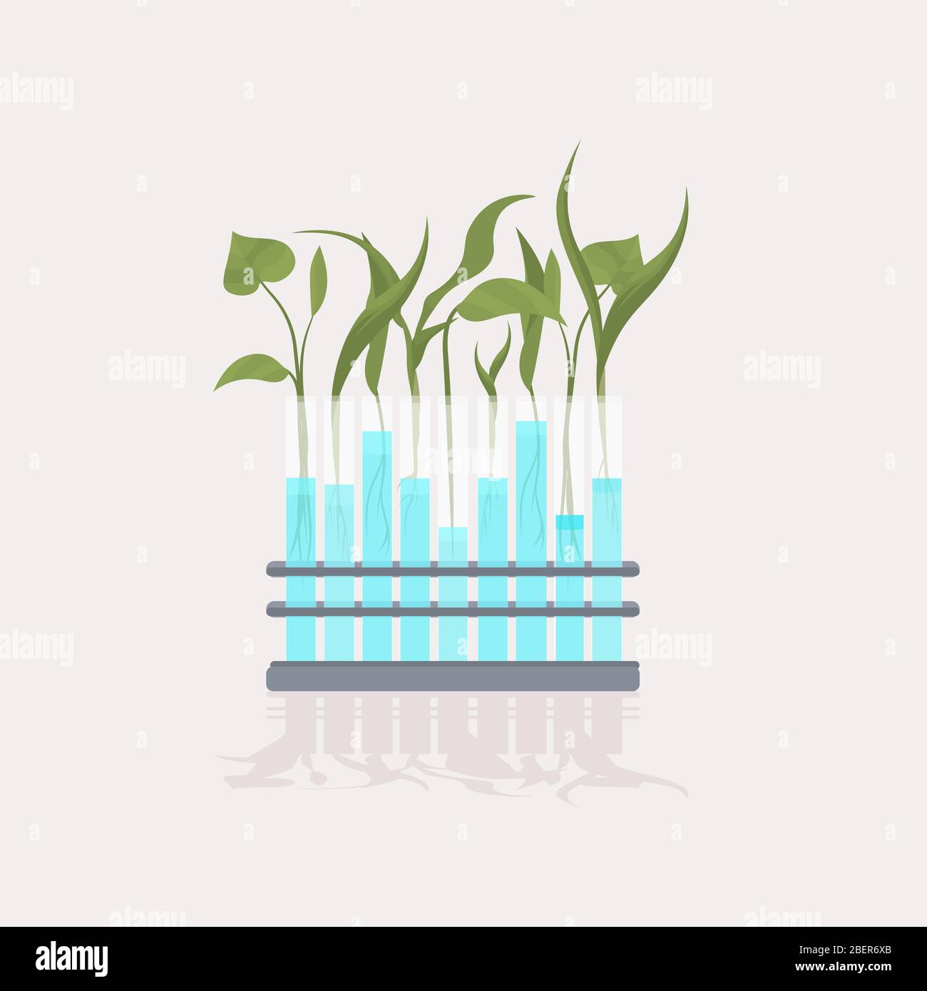 plant samples growing in test tubes scientific biotechnology research ...