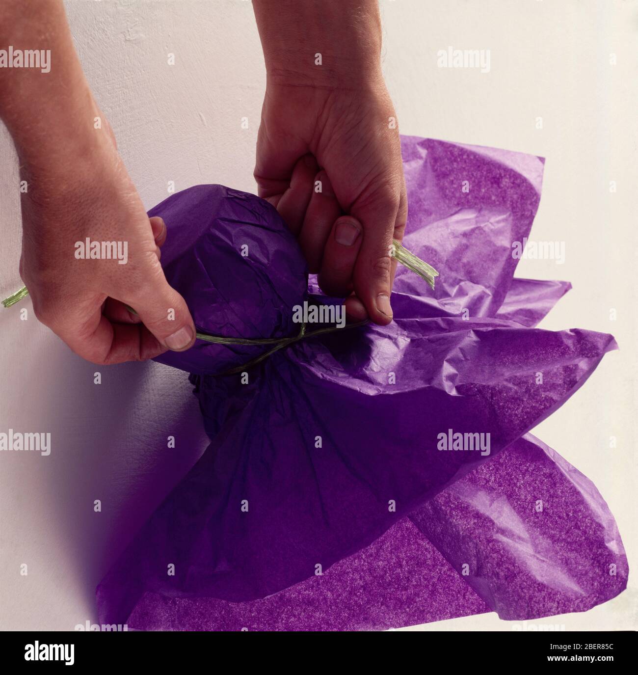 wrapping in purple tissue paper Stock Photo - Alamy