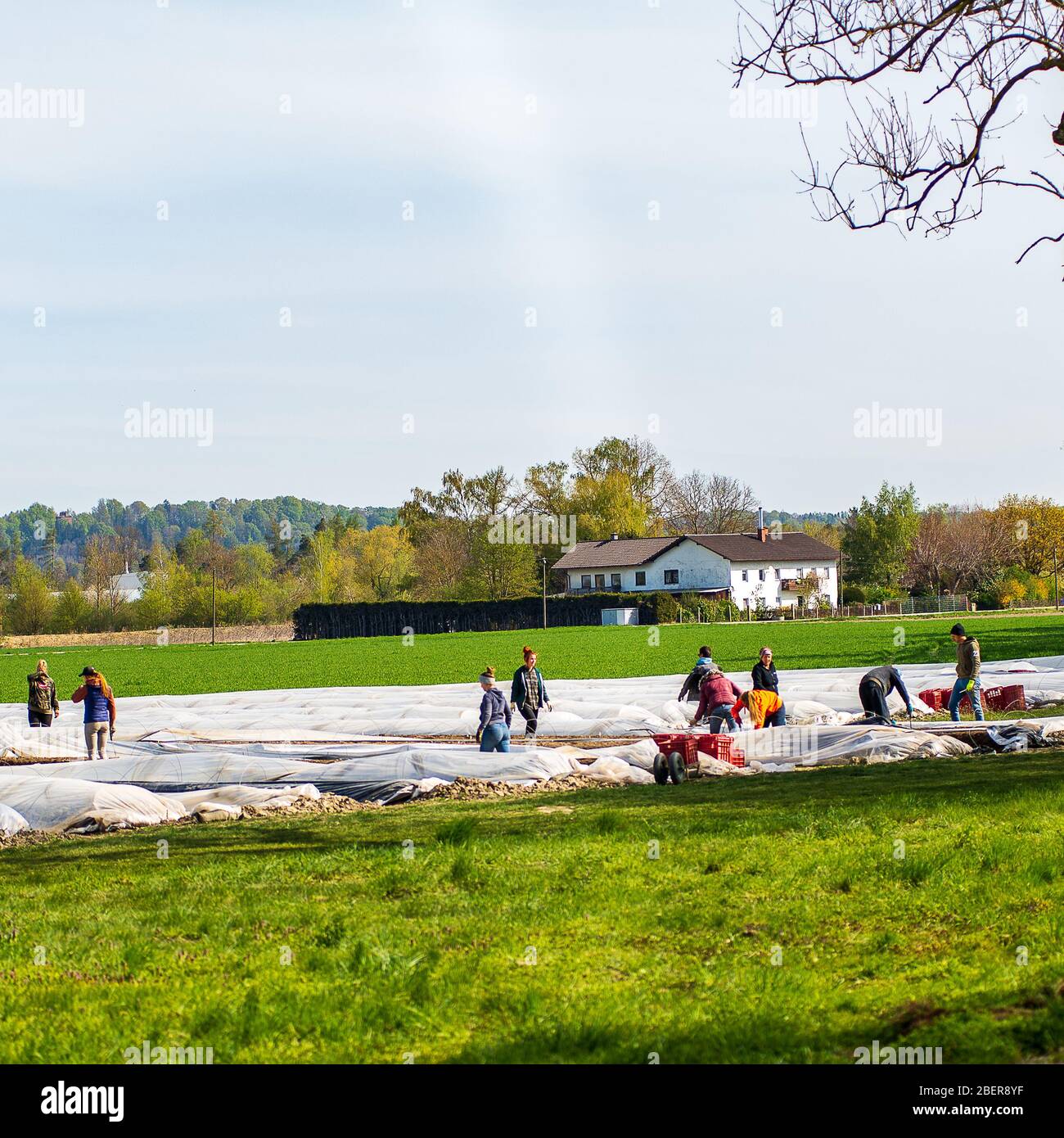 Workers from eastern europe hi-res stock photography and images - Alamy
