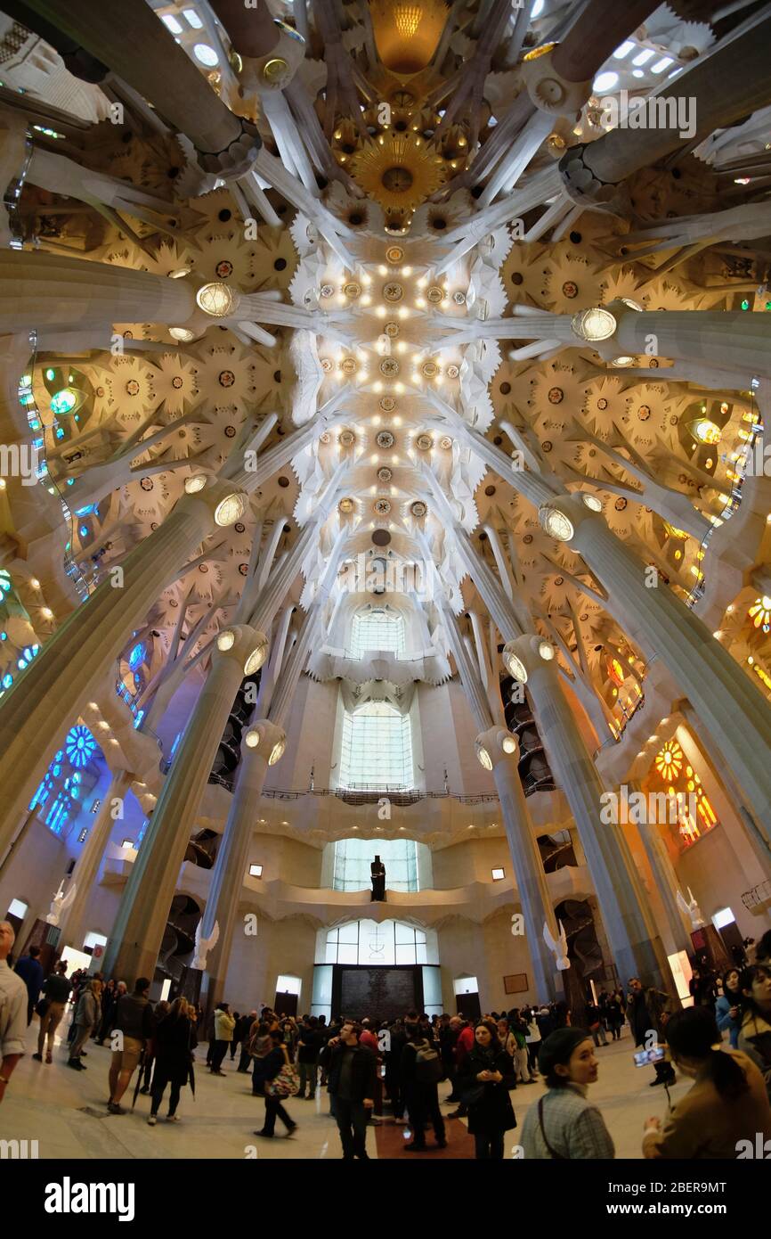 Spain, Catalonia, Barcelona, Interior of the Sagrada Familia designed ...
