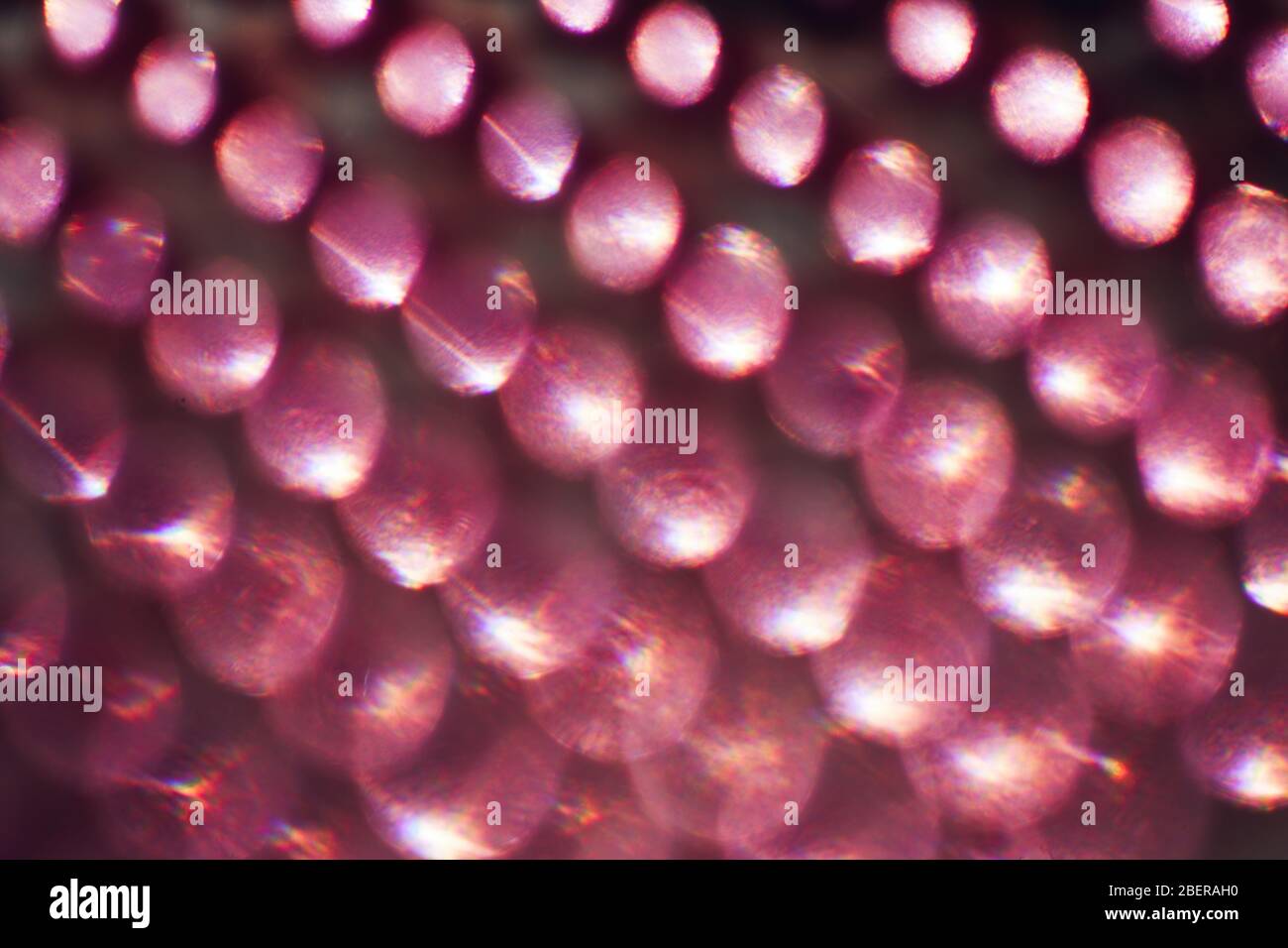 Violet light leaks effect background hi-res stock photography and ...