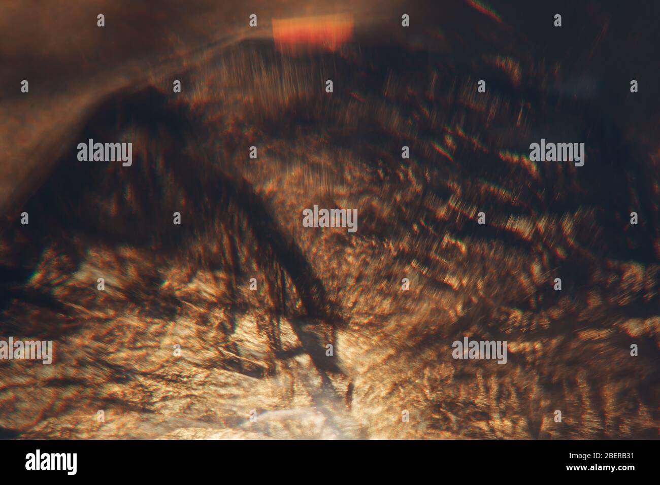 Different figures hi-res stock photography and images - Alamy