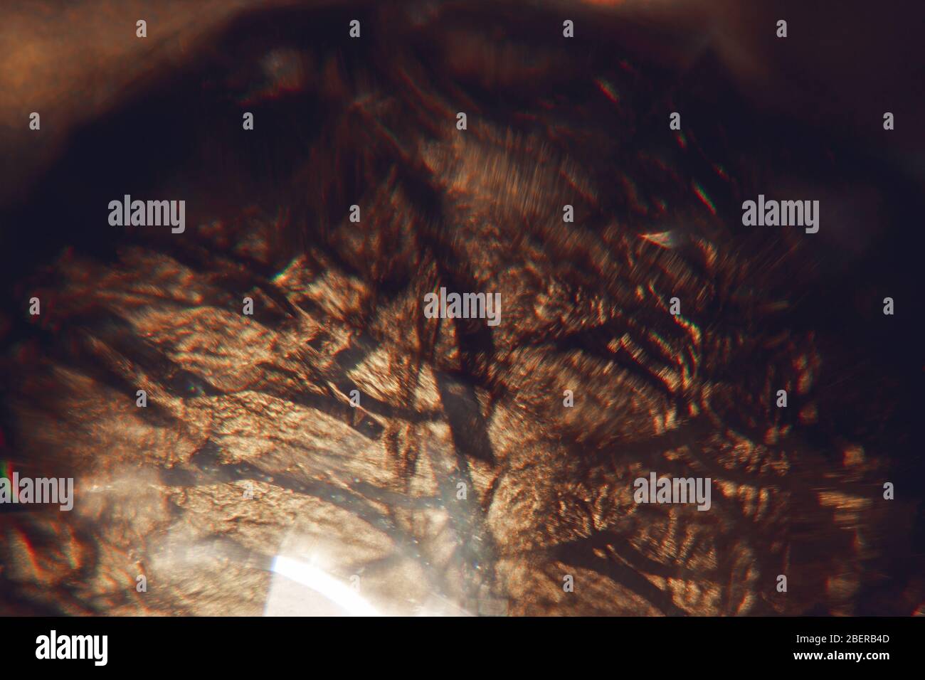 Molten gold texture hi-res stock photography and images - Alamy