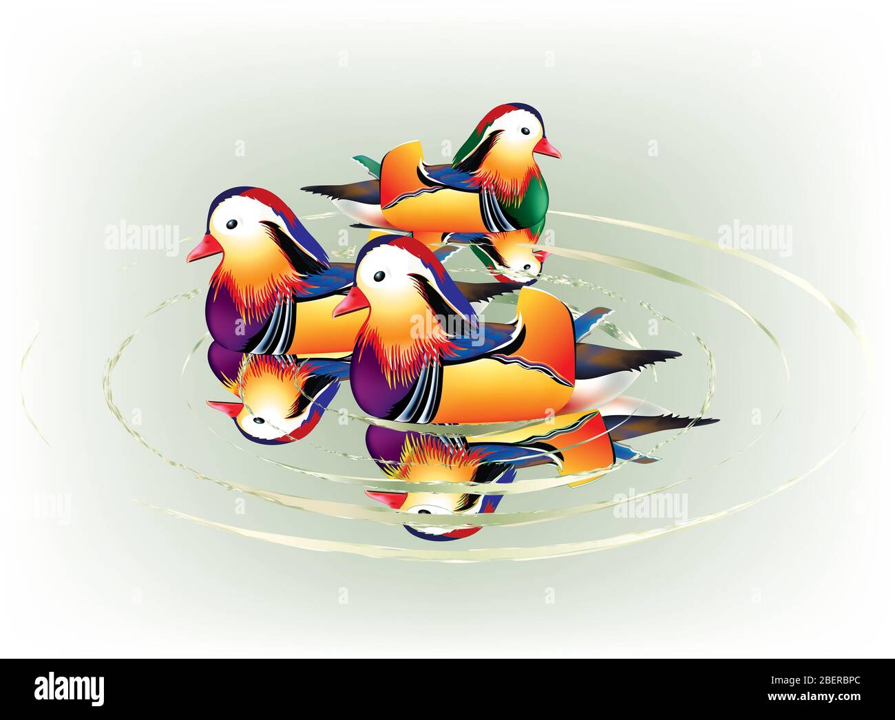 Mandarin duck illustration hi-res stock photography and images - Alamy