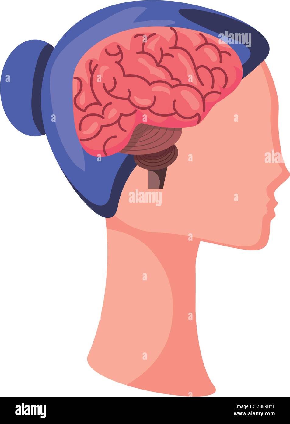 Cartoon Human Brain In Head