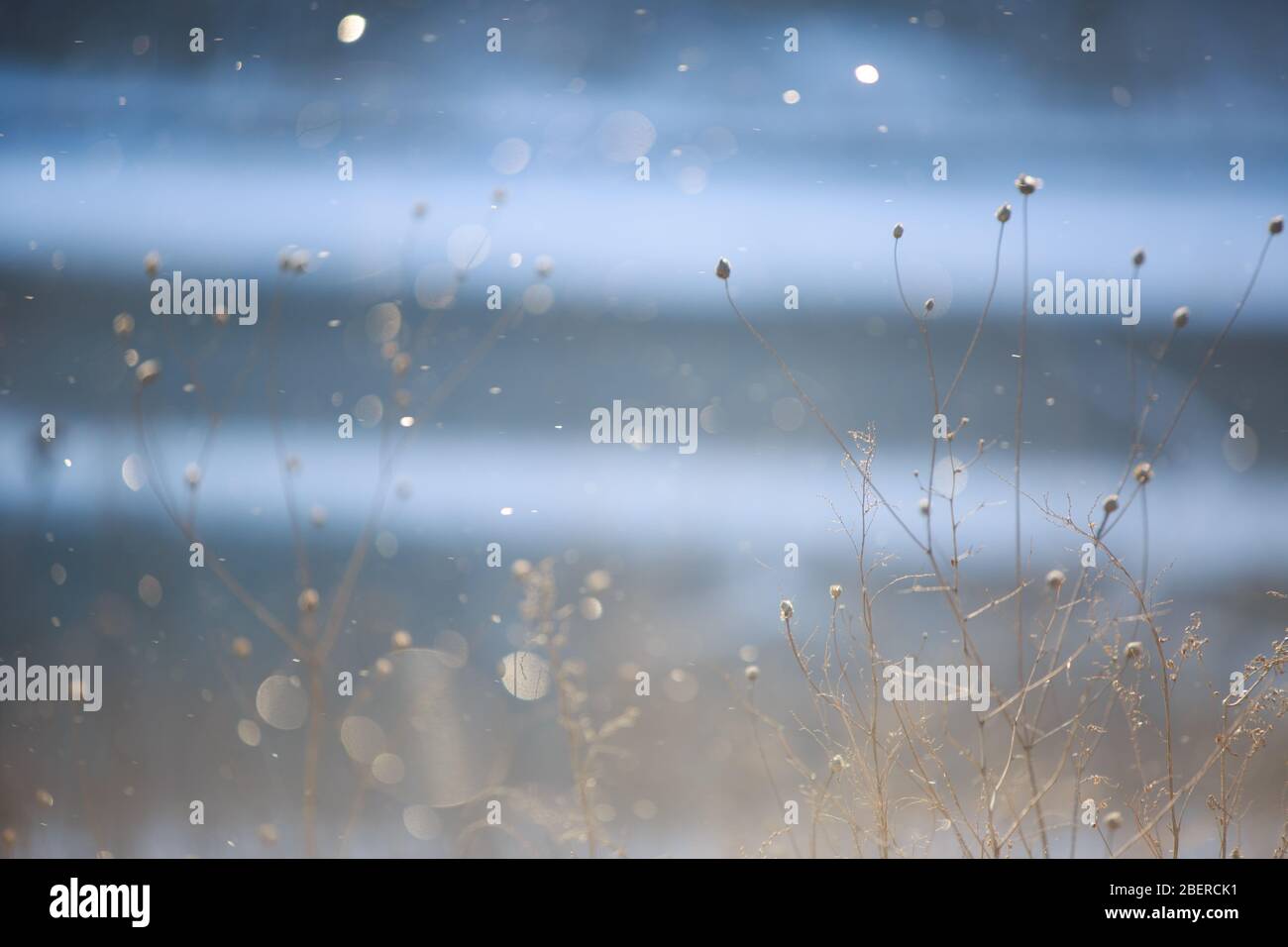 Cloud snowing cold nature hi-res stock photography and images - Alamy