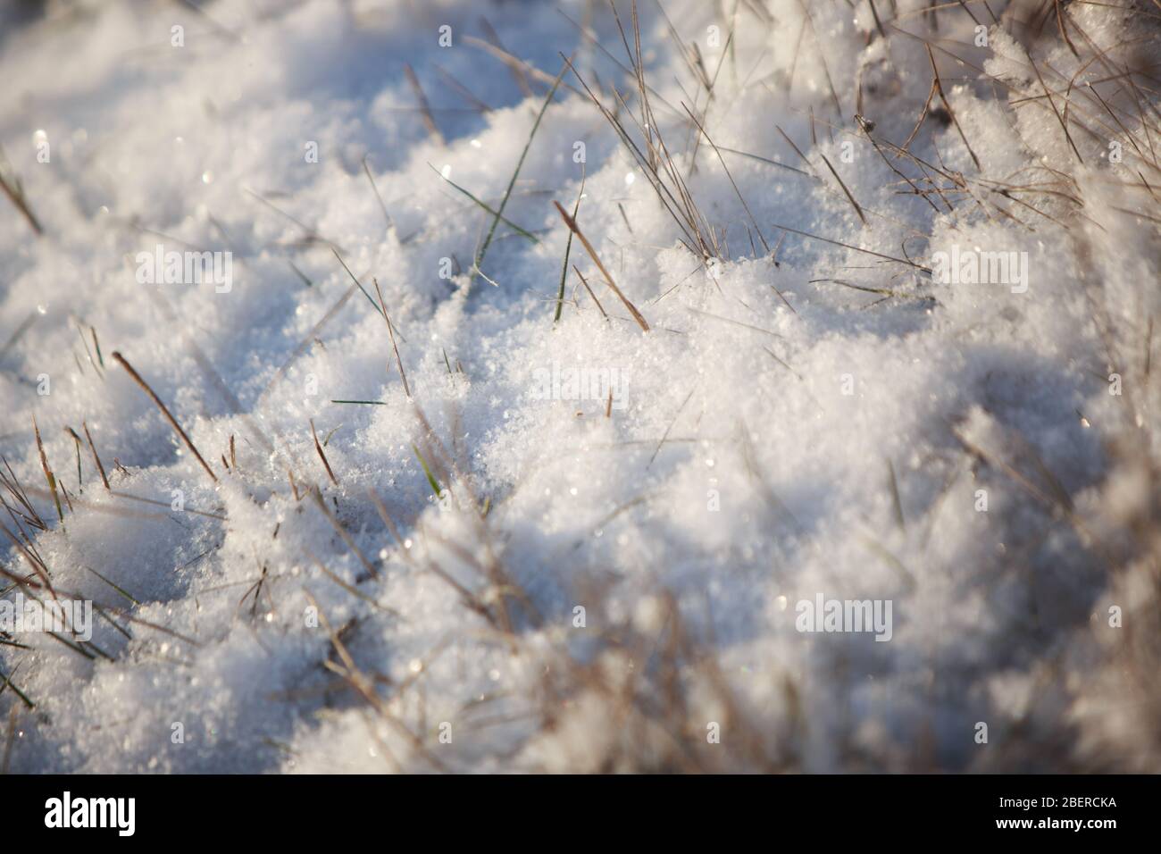 snow on the ground Stock Photo - Alamy