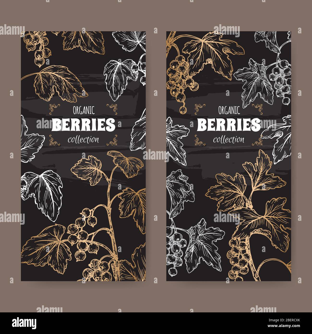 Red currant texture Stock Vector Images - Alamy