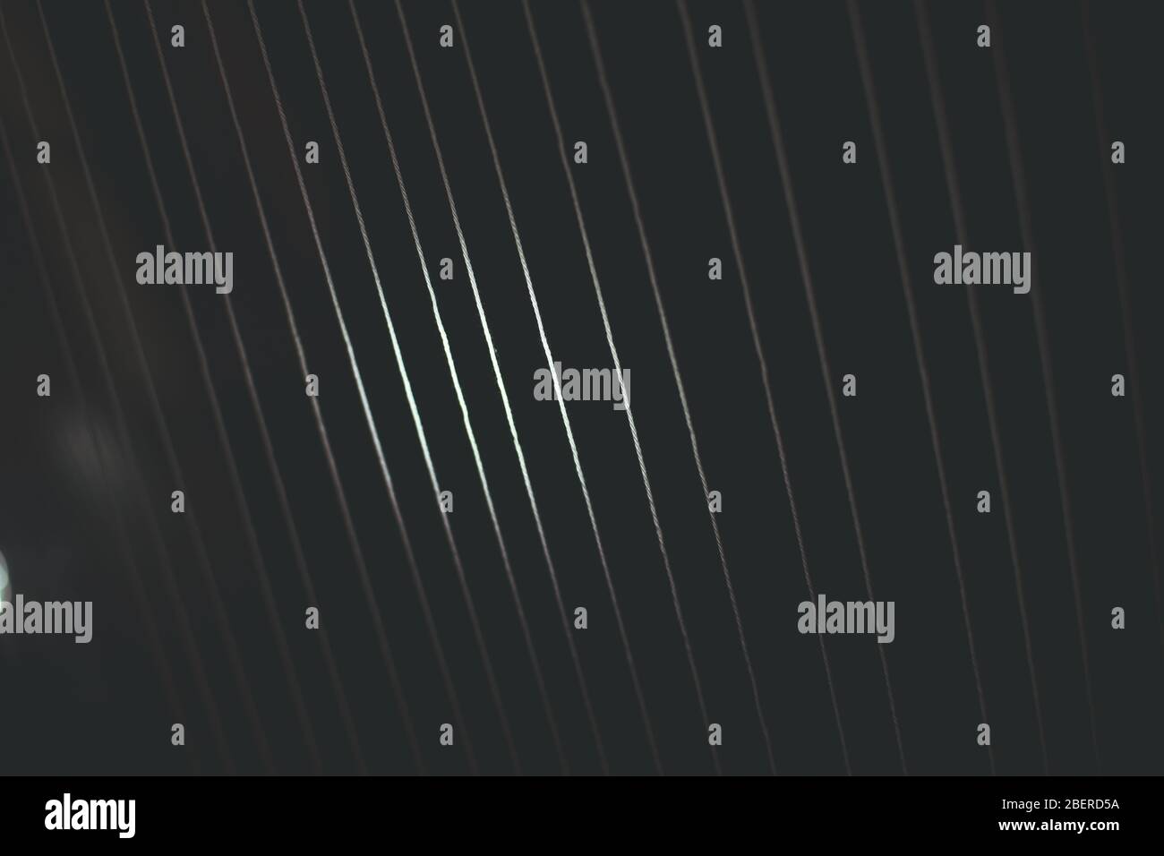 Thread of life hi-res stock photography and images - Alamy