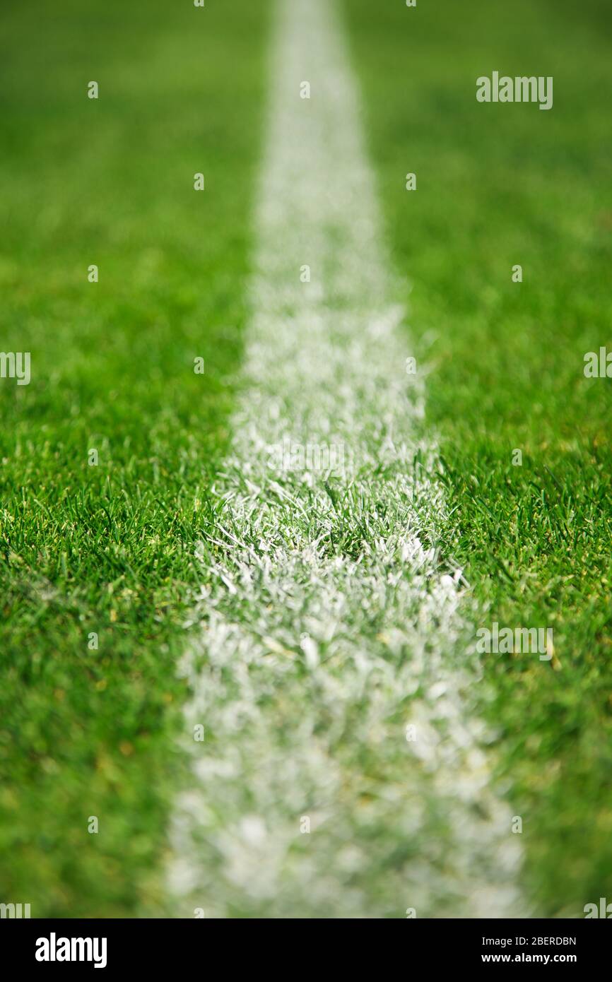 Bestturf hi-res stock photography and images - Alamy