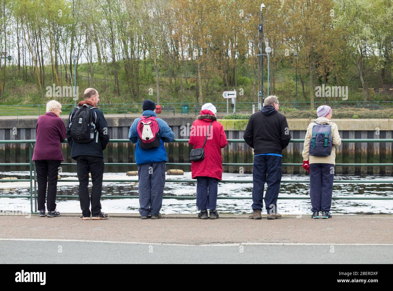 Group of walkers standing close together watching Seals at Tees Barrage ...