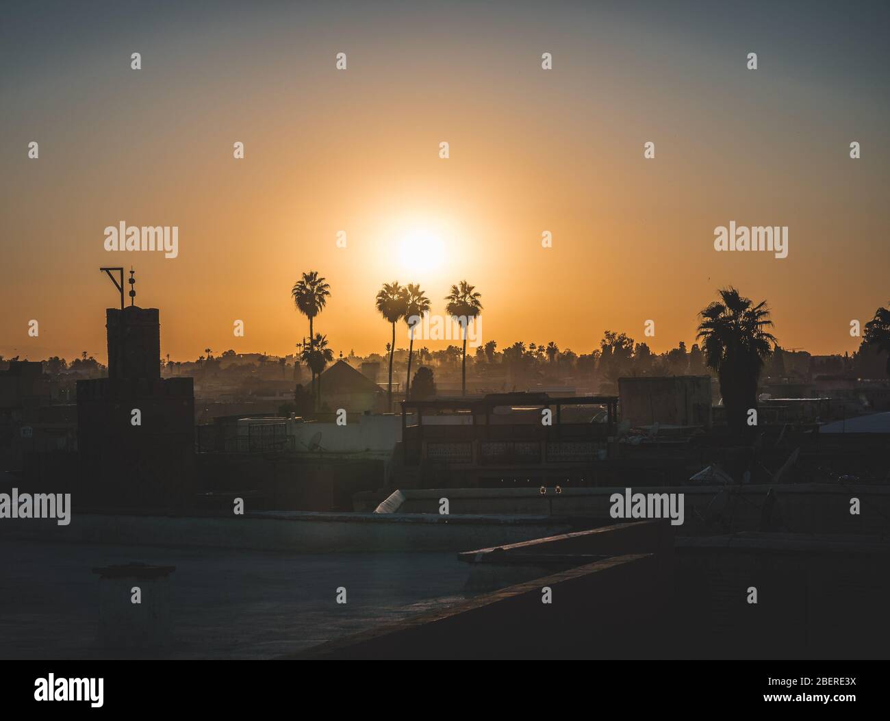 Sunset sunrise over the palm grove in Marrakesh, Morocco. Palmeraie ...