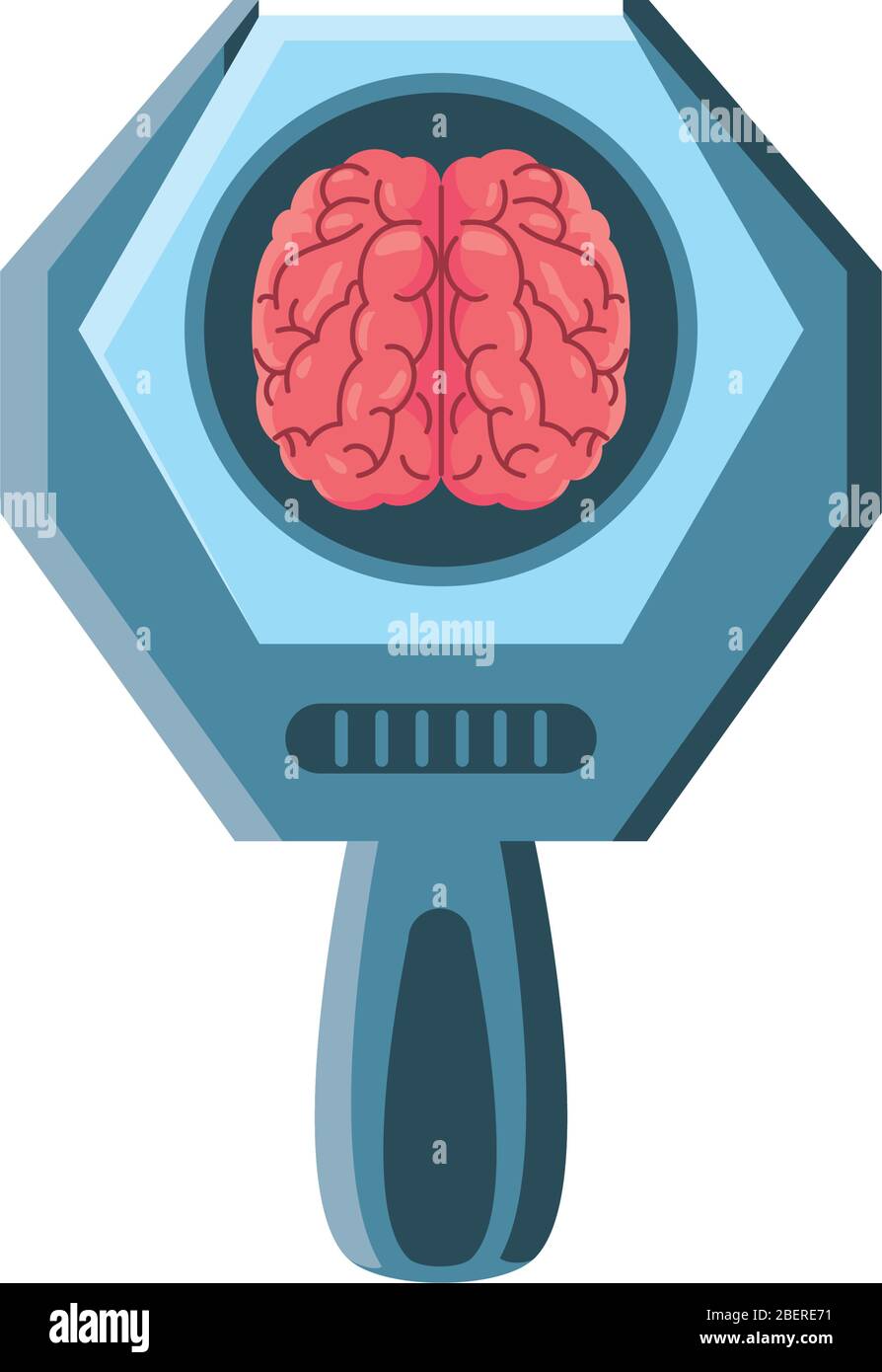 brain with magnifying glass on white background vector illustration ...