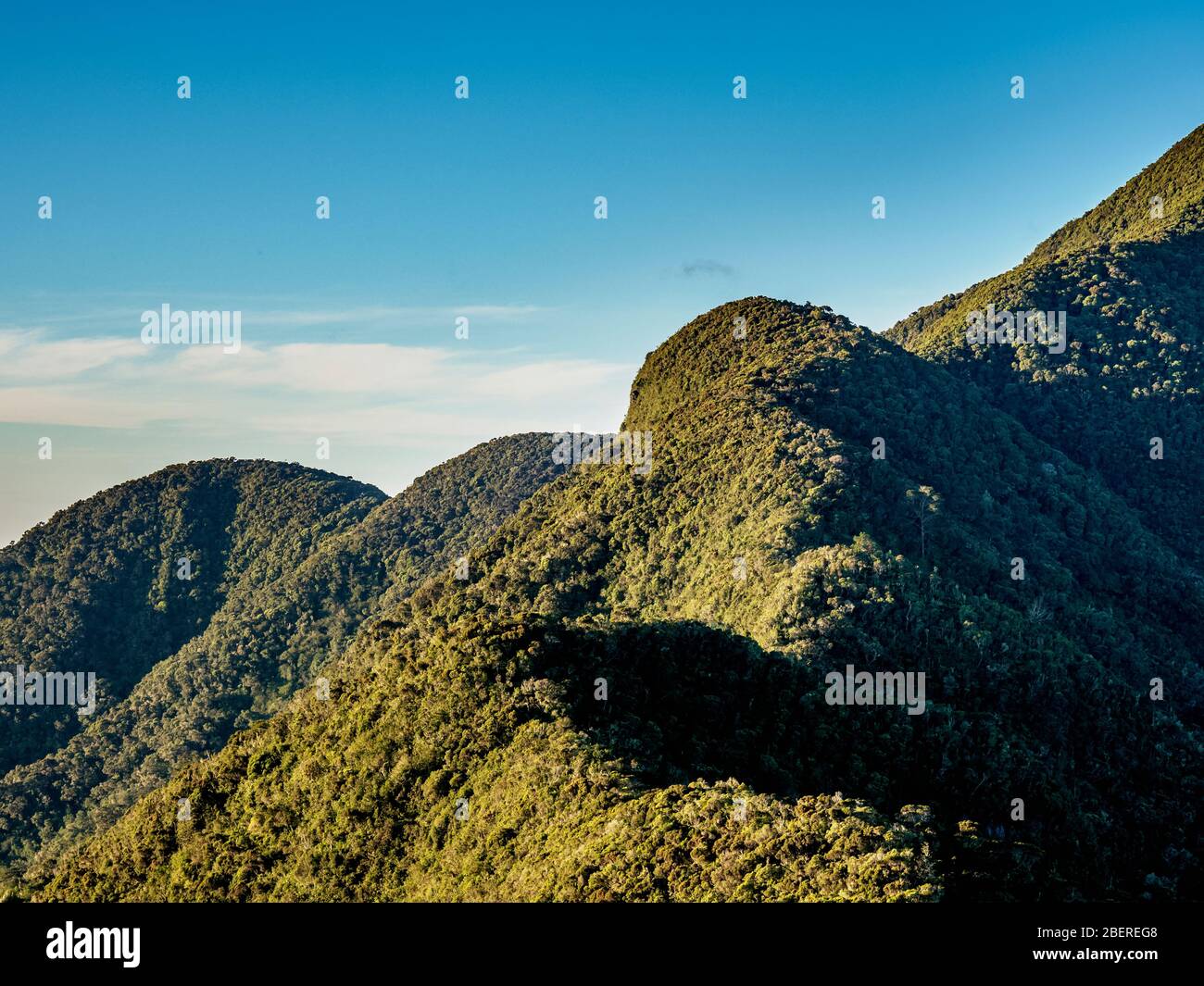 Parque nacional turquino hi-res stock photography and images - Alamy