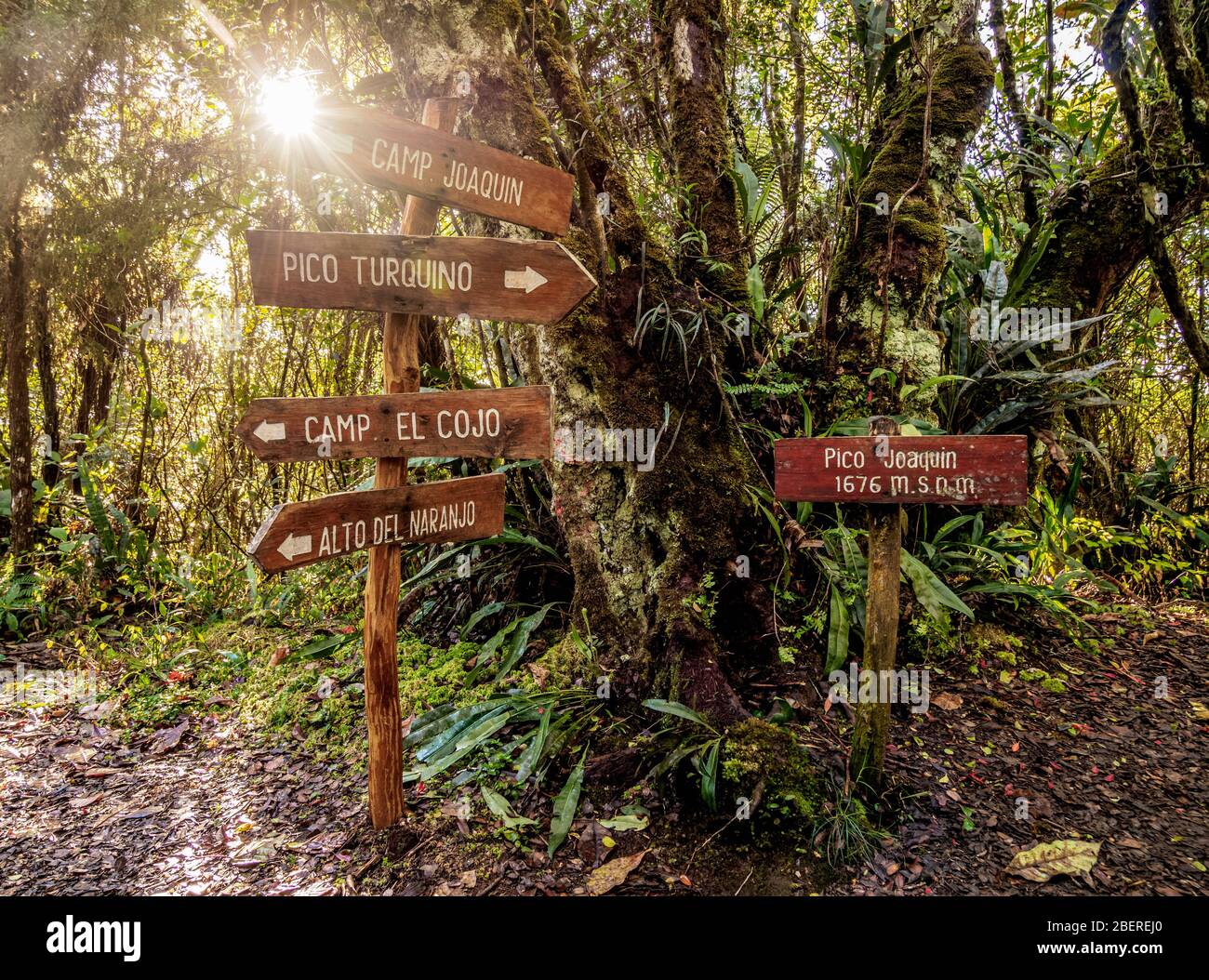 Cuba sierra maestra trail hi-res stock photography and images - Alamy