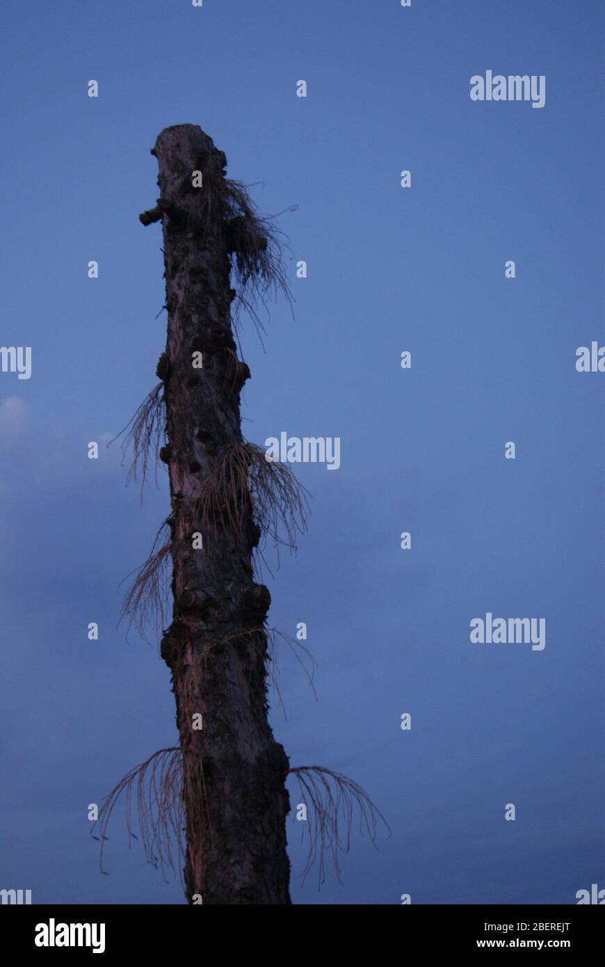 Desseche hi-res stock photography and images - Alamy