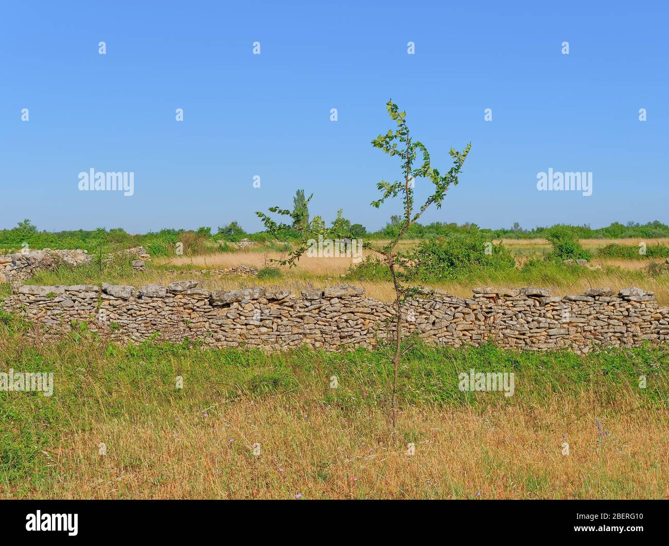 Drywall construction in the heart of Dalmatia, Croatia Stock Photo - Alamy