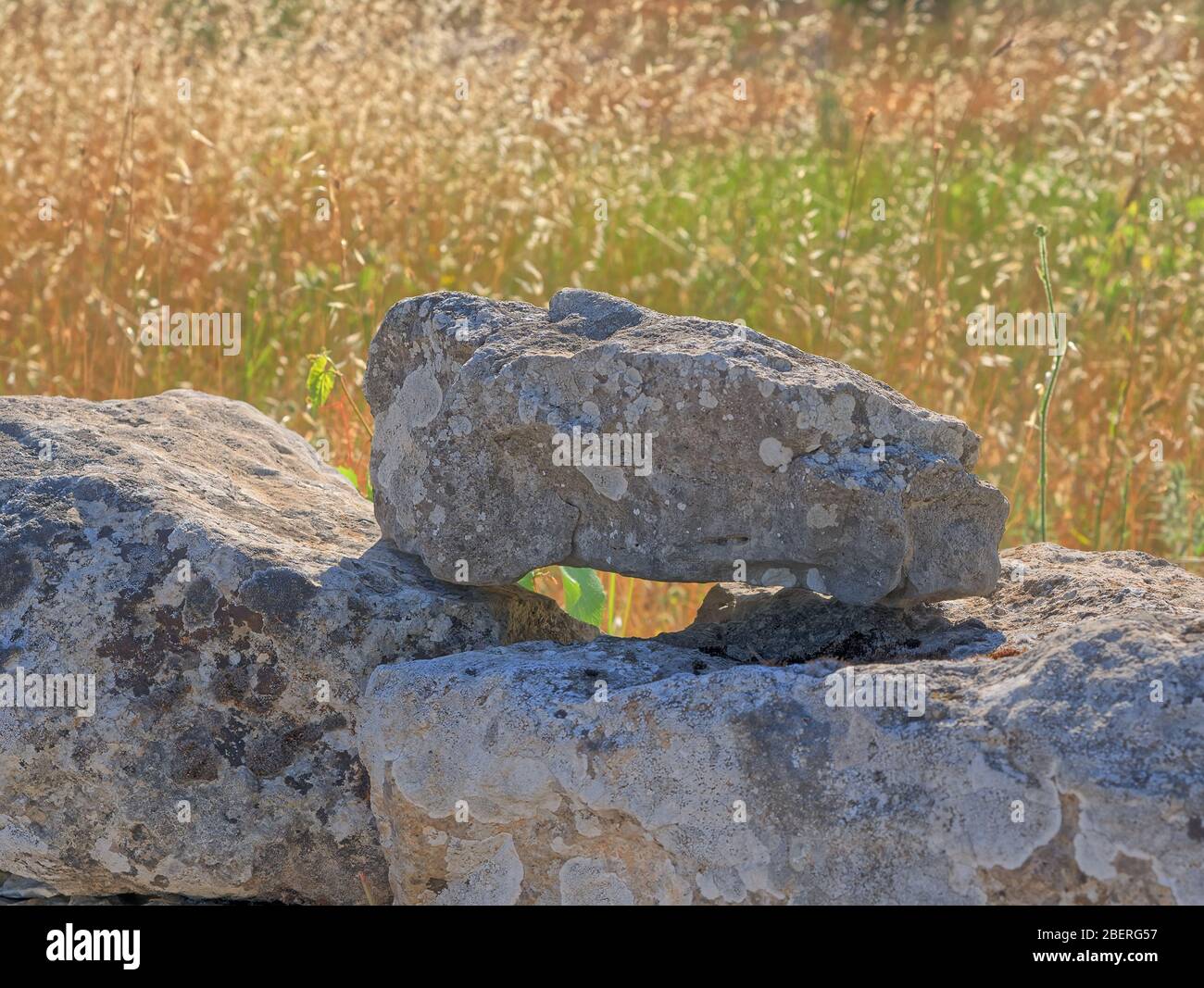 Drywall construction in the heart of Dalmatia, Croatia Stock Photo - Alamy