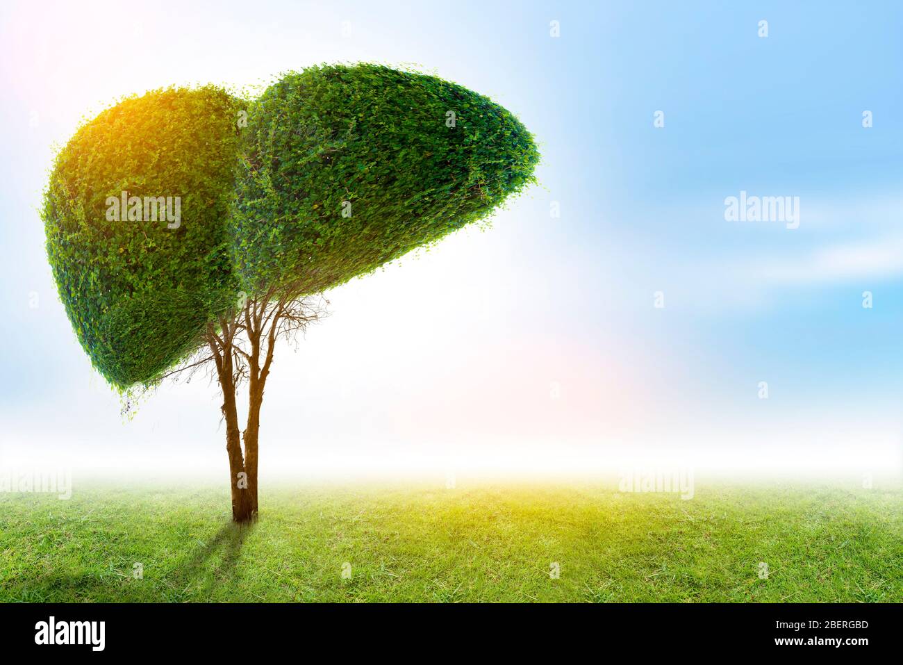 Illustration of a tree in the shape of a liver (environment and ...