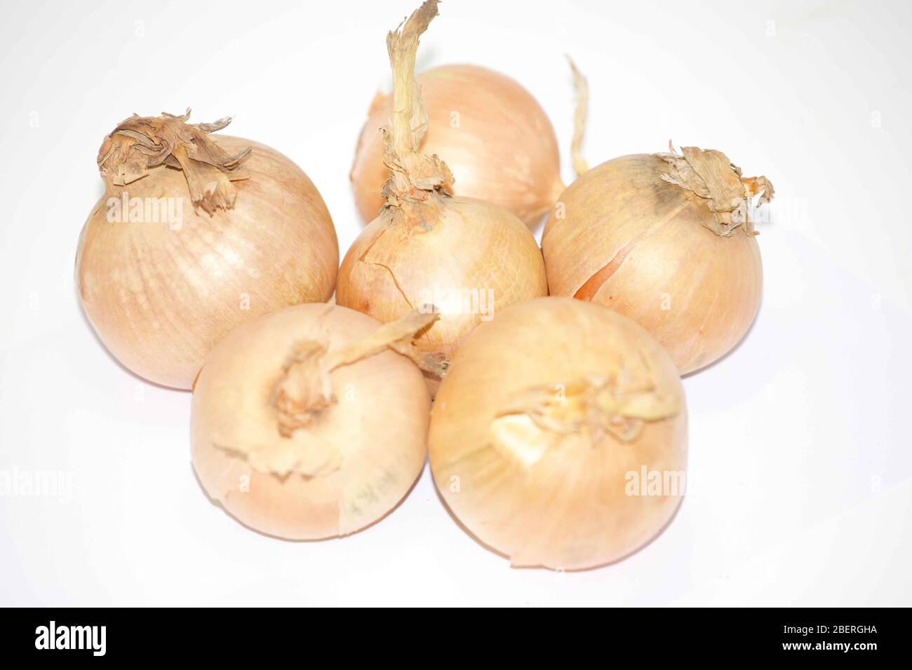 Whole onion and 5 pieces of onion with white back ground Stock Photo ...