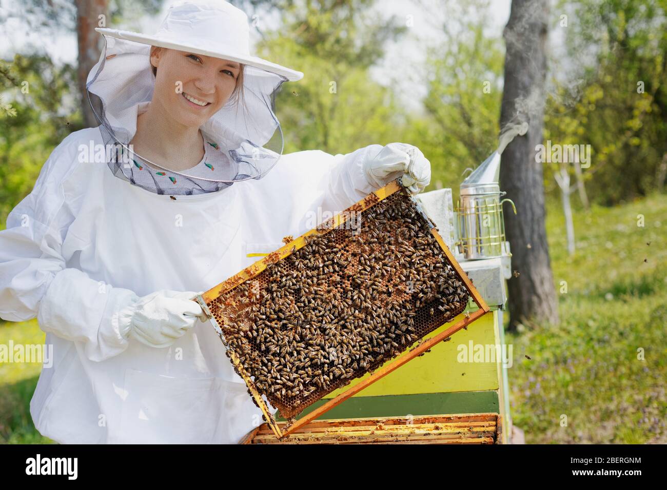 Honeycomb beekeeper hi-res stock photography and images - Alamy