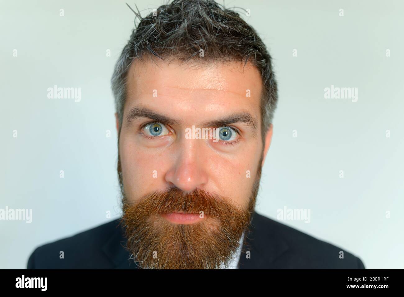 Man with thick beard and blue eyes isolated on grey background. Guy ...