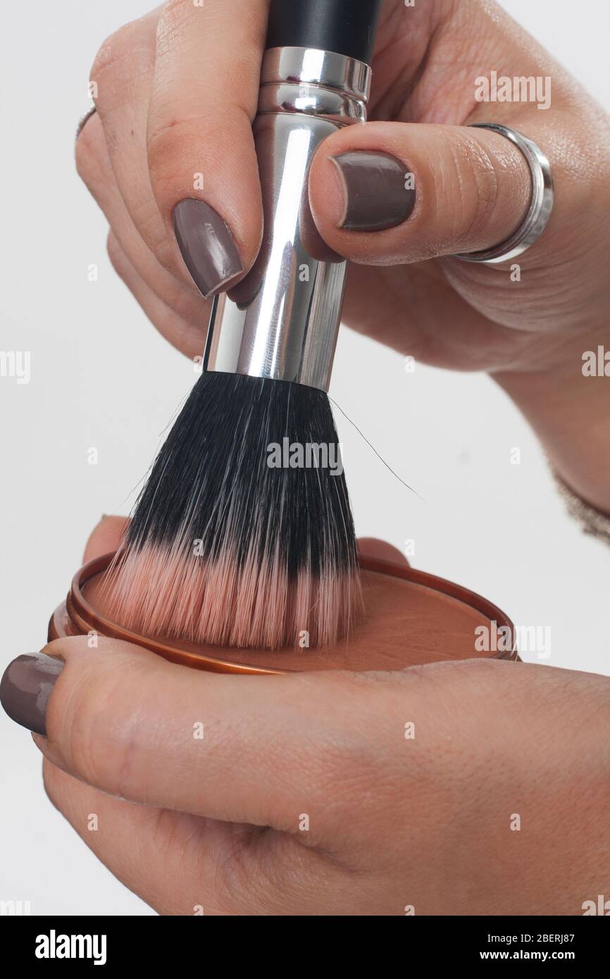 Pink Blush Sets on White Background Stock Photo - Alamy