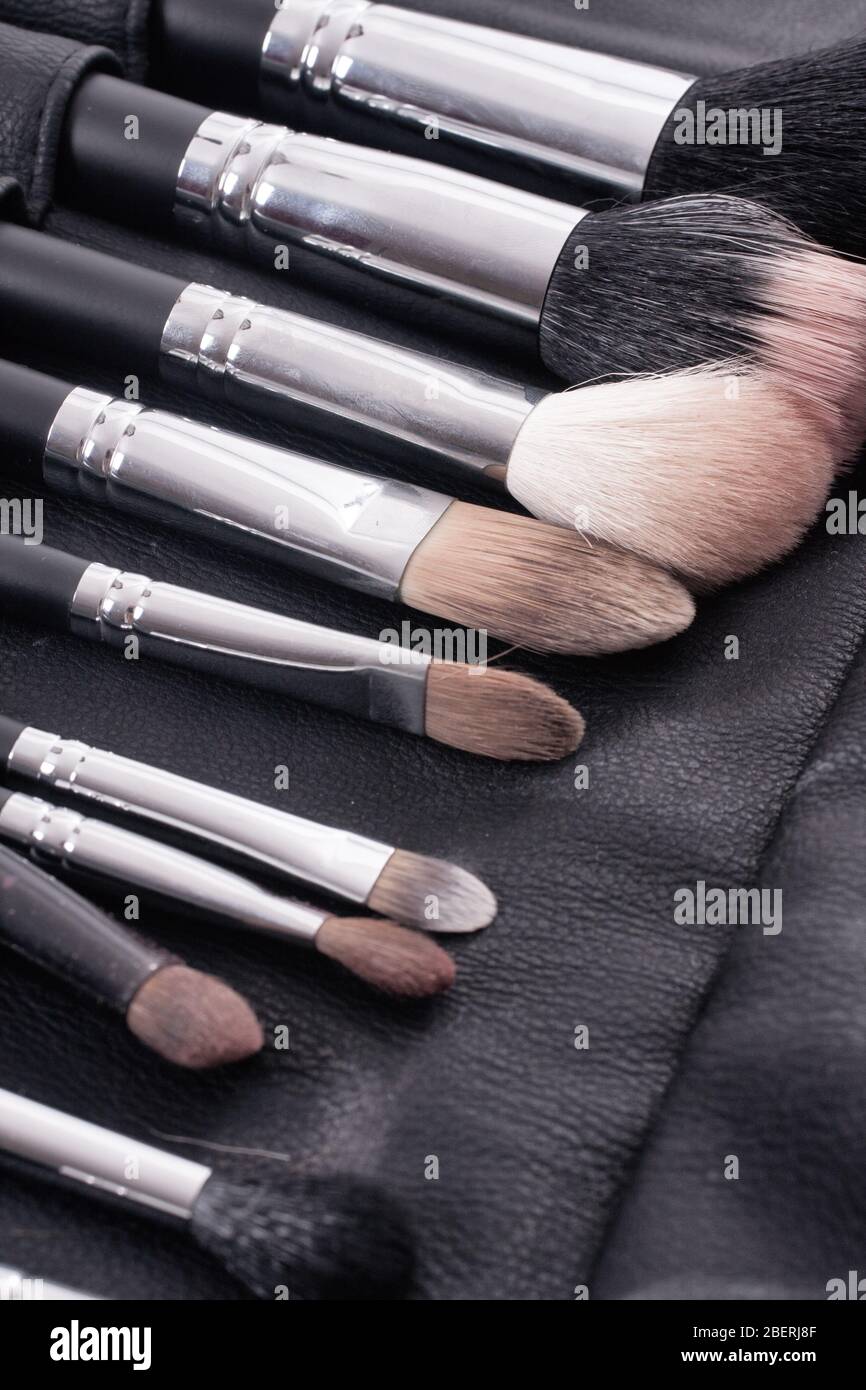Various sizes of Make Up Brushes in a Case Stock Photo - Alamy