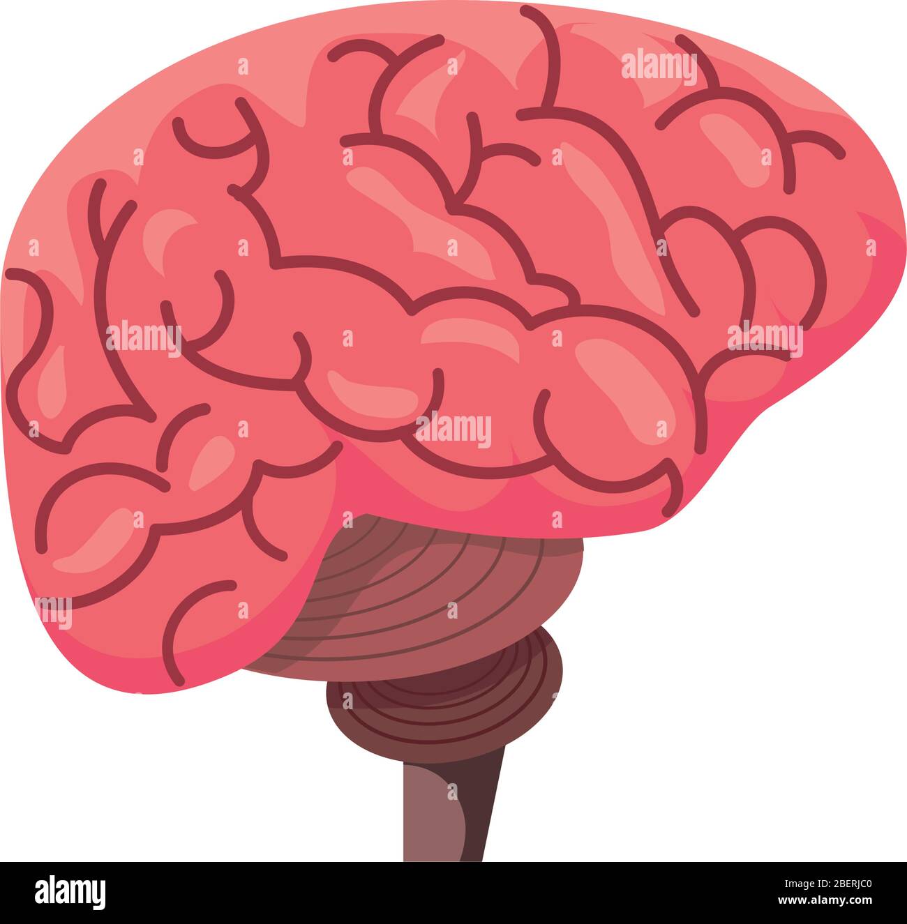 healthy brain on white background vector illustration design Stock ...
