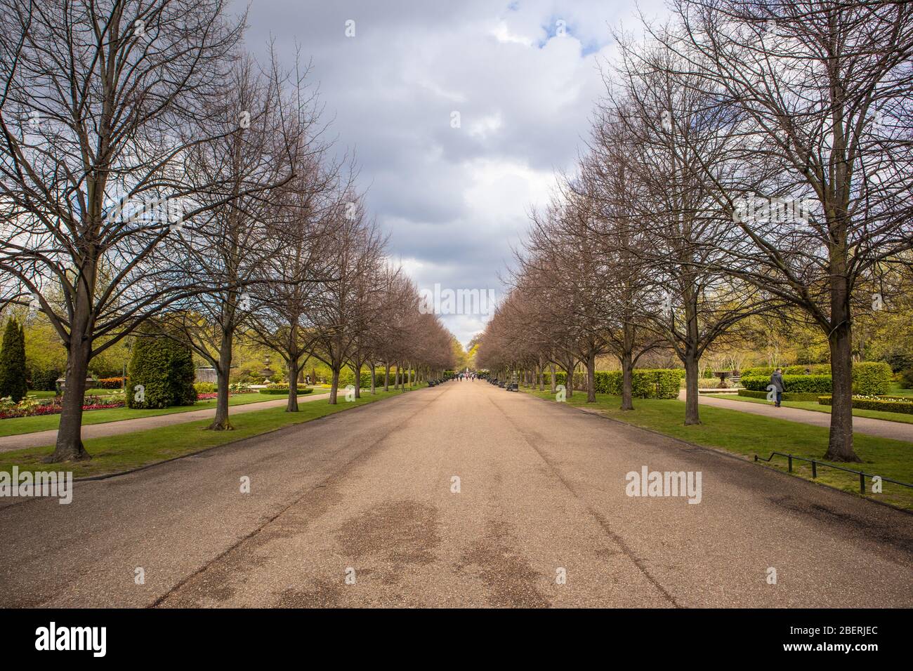 London, England - APRIL 3, 2019: Beautiful trees in Regent's Park in ...