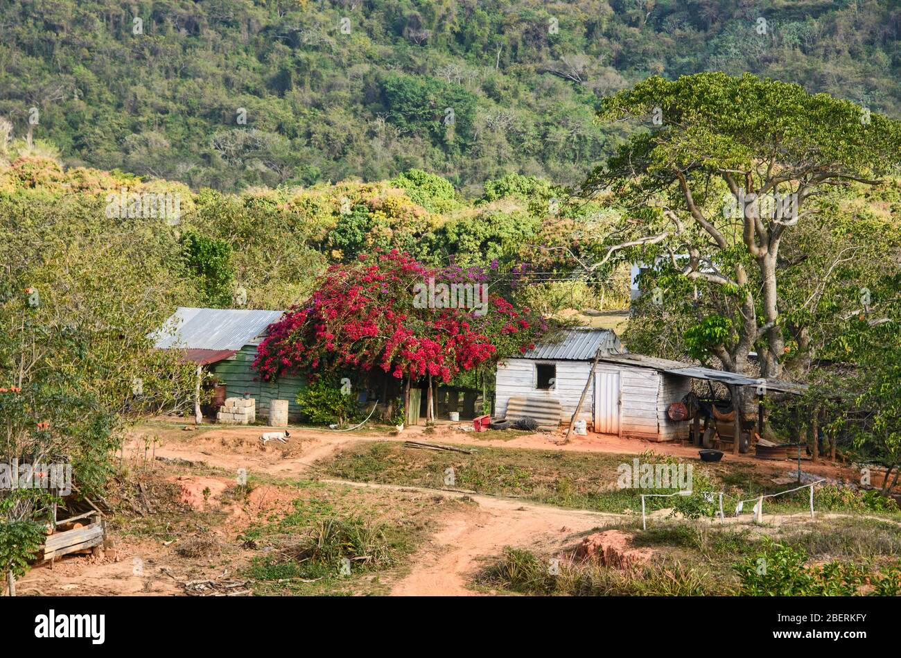 Sceneries in the Valley of Viñales, Cuba Stock Photo - Alamy