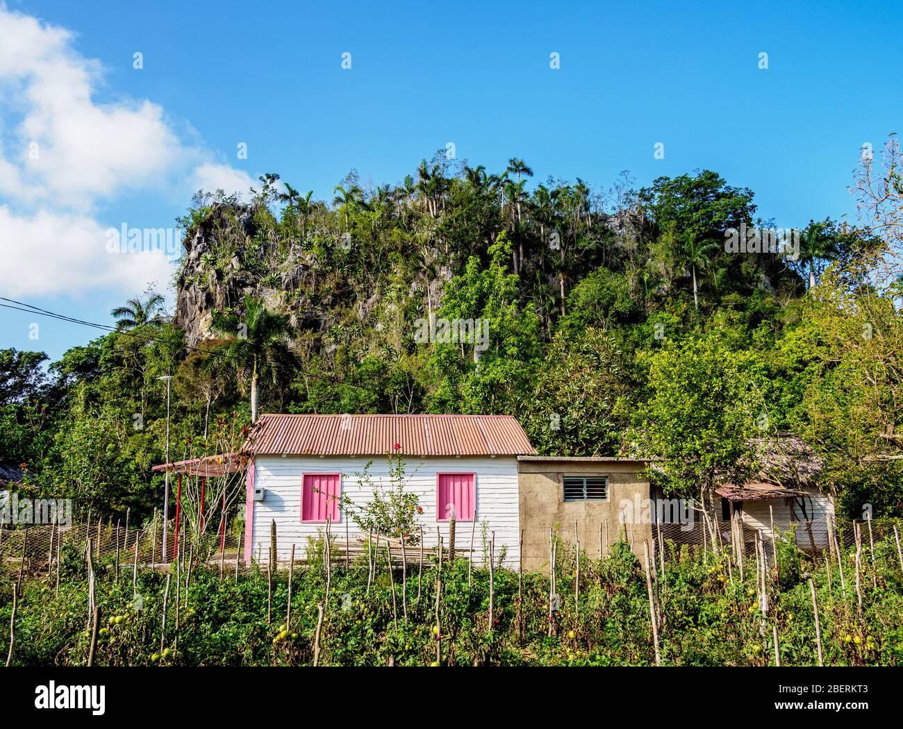 Vinales Valley, UNESCO World Heritage Site, Pinar del Rio Province ...