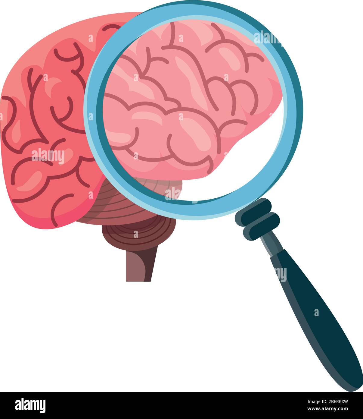 brain with magnifying glass on white background vector illustration ...