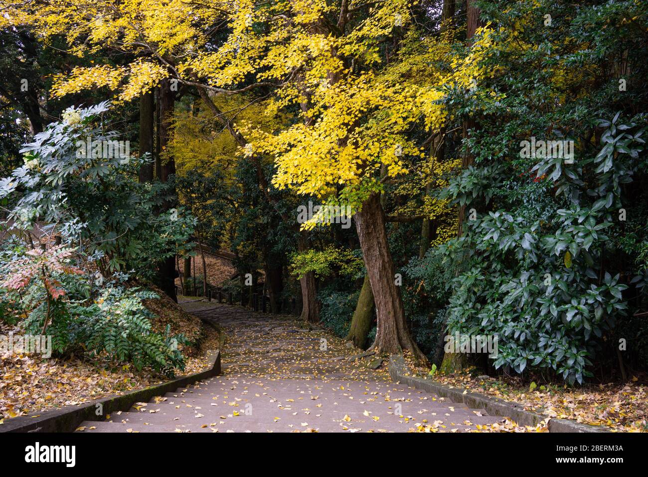 Naritasan Shinshoji Temple was attached with Naritasan Park in Narita ...