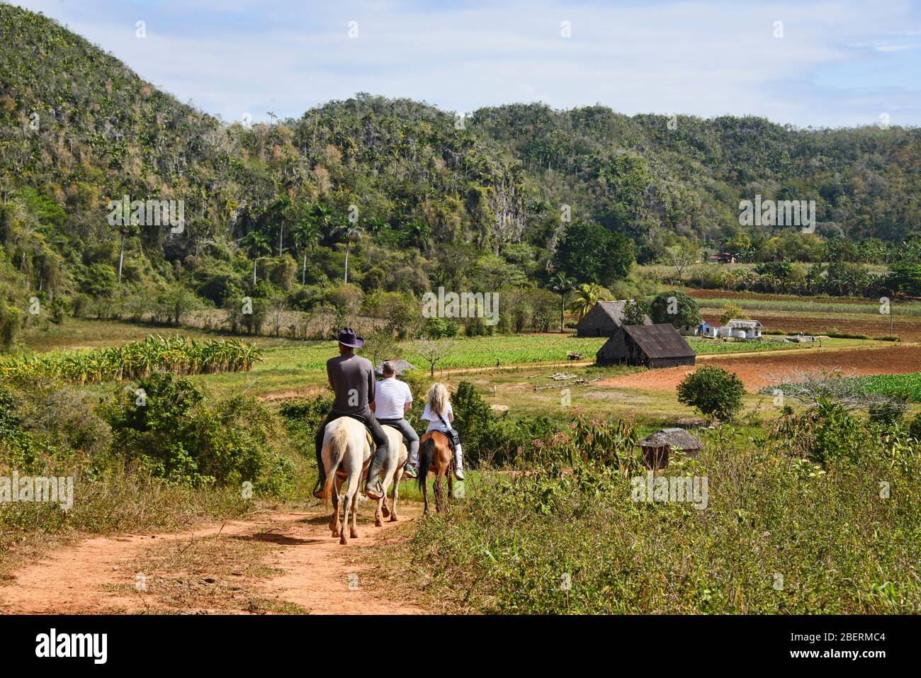 Viñales horse riding hi-res stock photography and images - Alamy