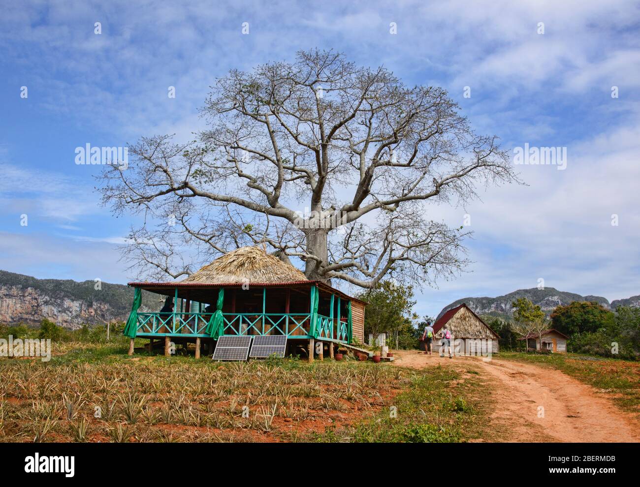 Sceneries in the Valley of Viñales, Cuba Stock Photo - Alamy
