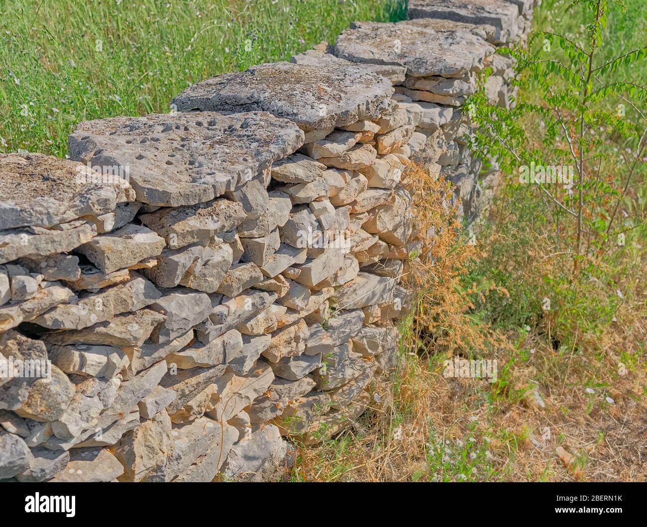 Dalmatian drywall hi-res stock photography and images - Alamy