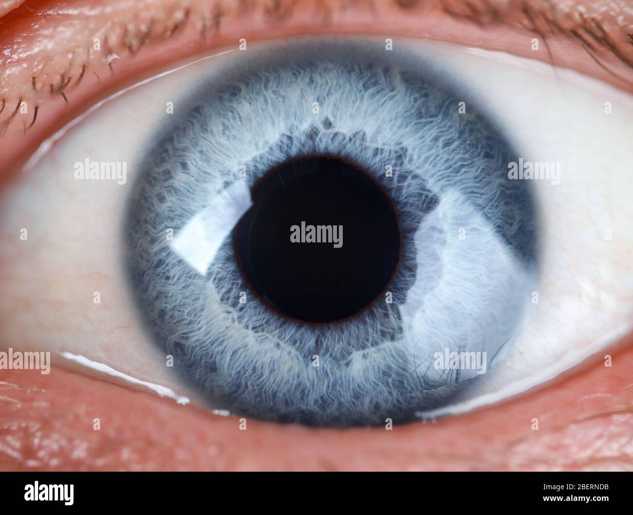 Extreme closeup of human eye hi-res stock photography and images - Alamy