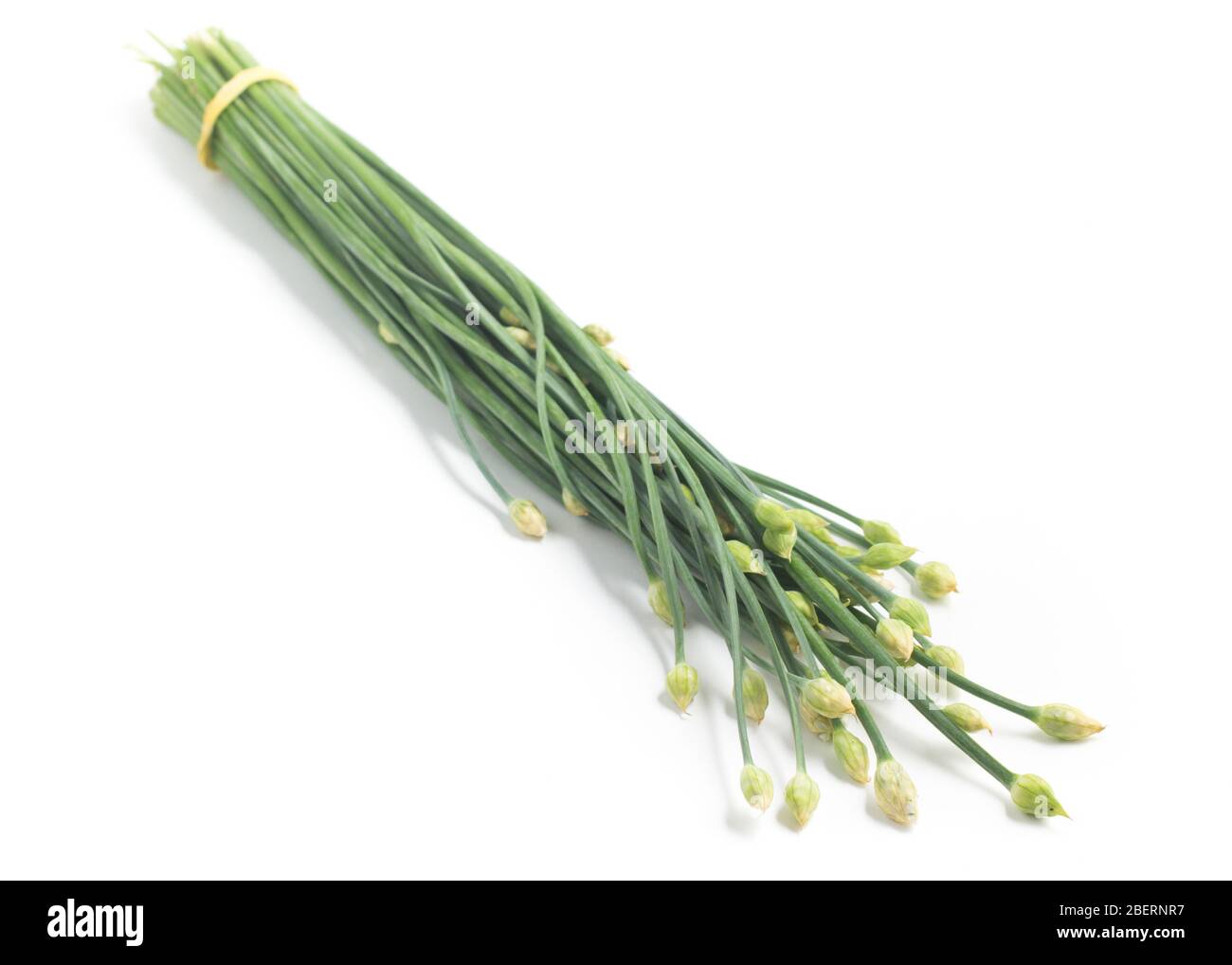 Garlic Chives Flower. Nira isolated on white background Stock Photo - Alamy