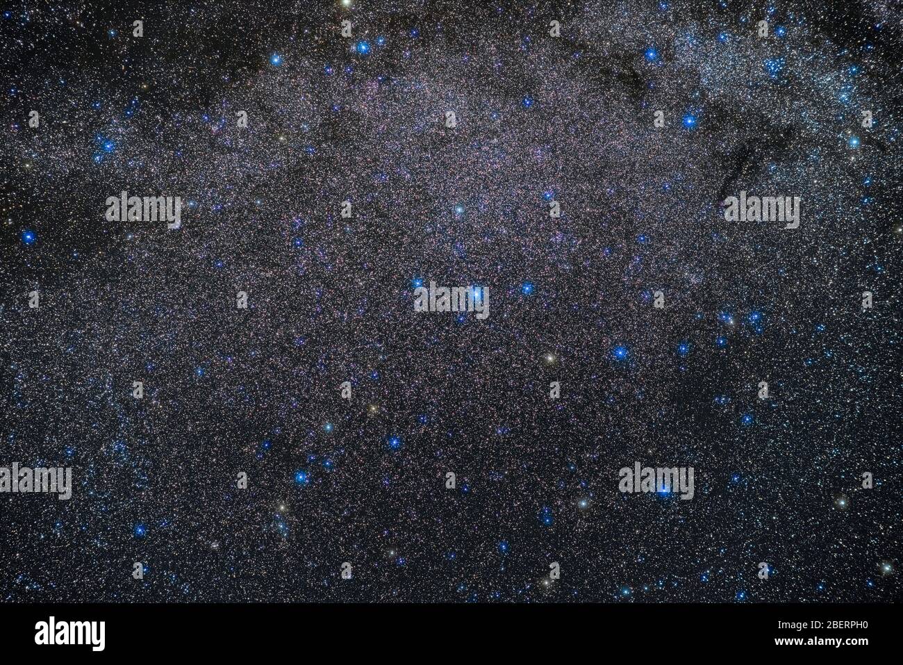 The constellation of Lacerta the Lizard Stock Photo - Alamy