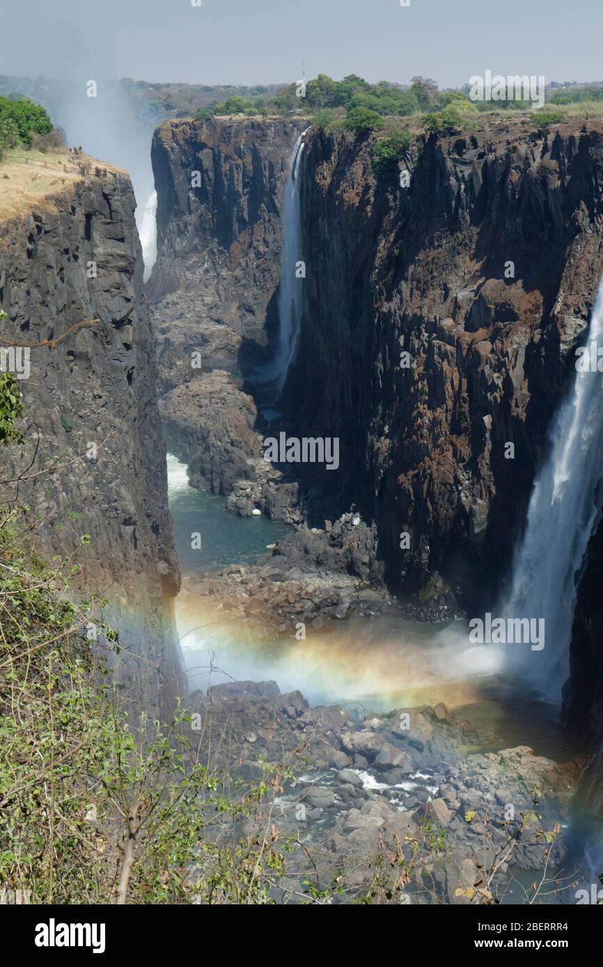 Zambesi hi-res stock photography and images - Alamy