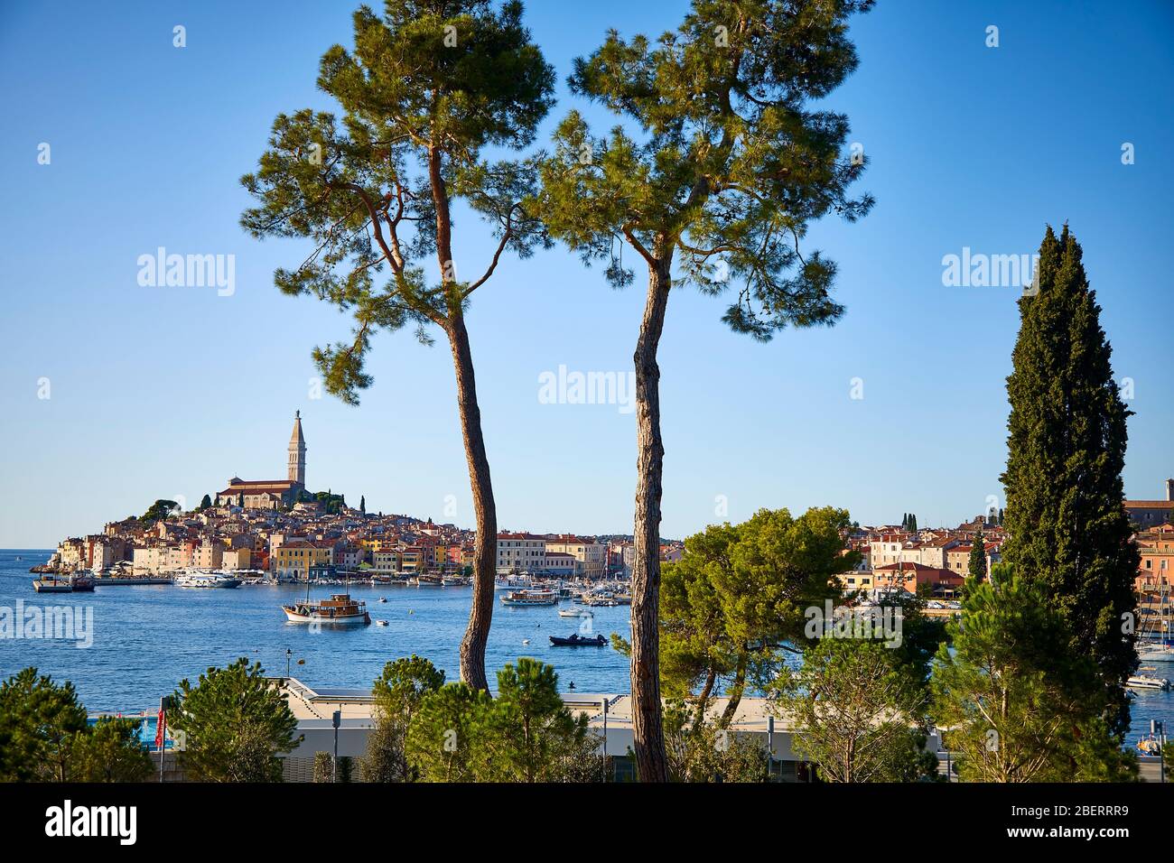 The town of Rovinj, Croatia is perched dramatically overlooking the ...