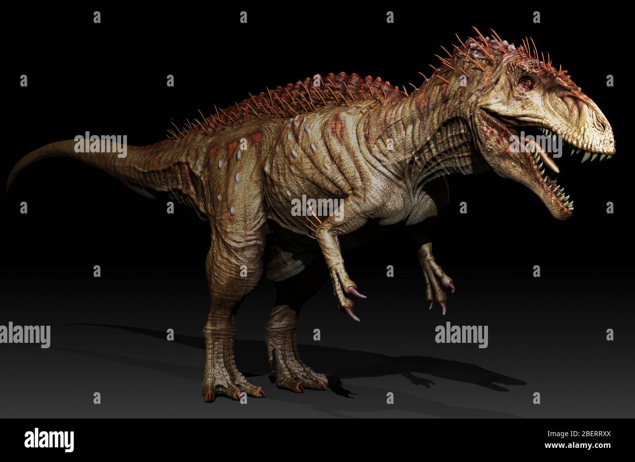 Acrocanthosaurus atokensis hi-res stock photography and images - Alamy