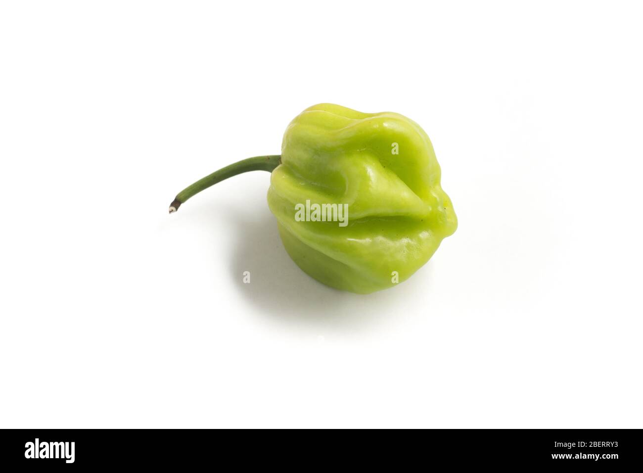 Brazilian Cheiro Pepper. Pimenta de cheiro Stock Photo - Alamy