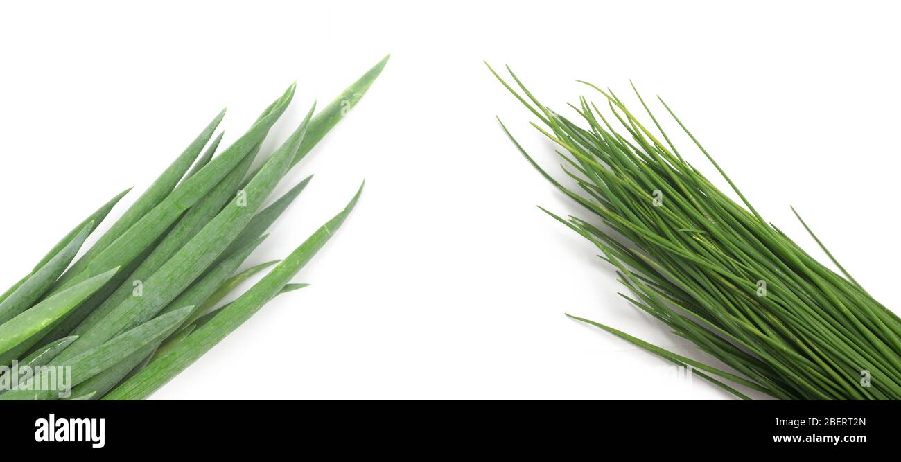 Types of Spring Onions isolated on white background Stock Photo - Alamy