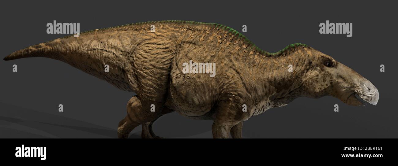 Edmontosaurus dinosaur on gray background Stock Photo - Alamy
