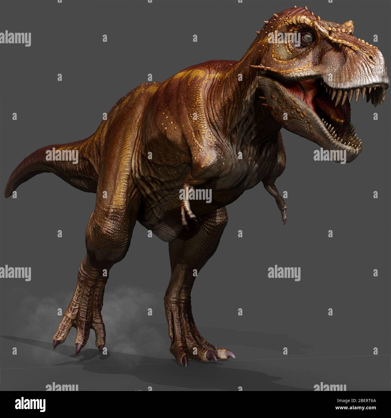 Tyrannosaurus rex dinosaur on gray background Stock Photo - Alamy
